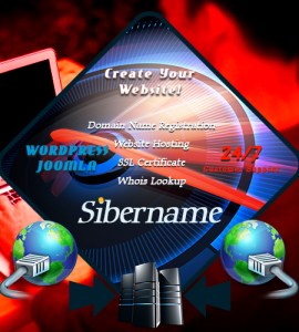 SiberName Review – Ananova